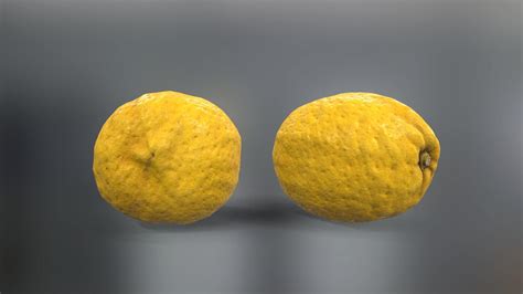 Lemon 3d Model By Grishmanovskij Anton
