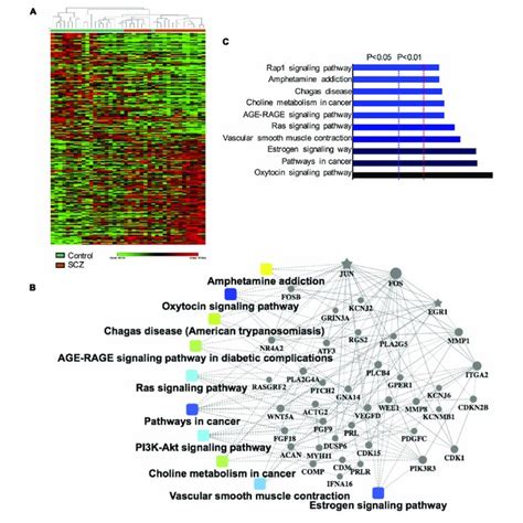 Functional Protein Protein Network Analysis Of Fos Gene Using String Download Scientific