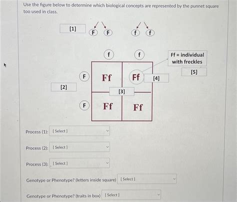 Solved Use The Figure Below To Determine Which Biological Chegg Com