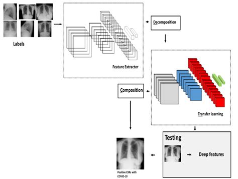 Schematic Diagram Of A Neural Network Model With Transfer Learning
