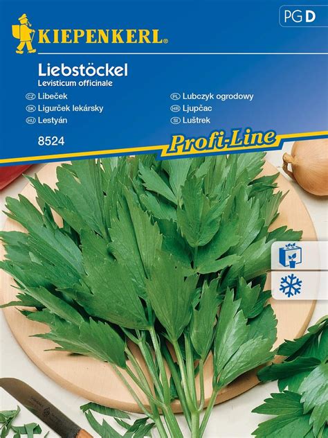 Lubczyk Nasiona Aromatyczne Liście Nasiona Kiepenkerl Zielonym Do Góry