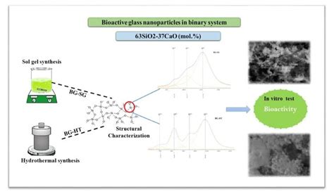 Meriame Bricha On Linkedin Synthesis Method Effect On Cellular