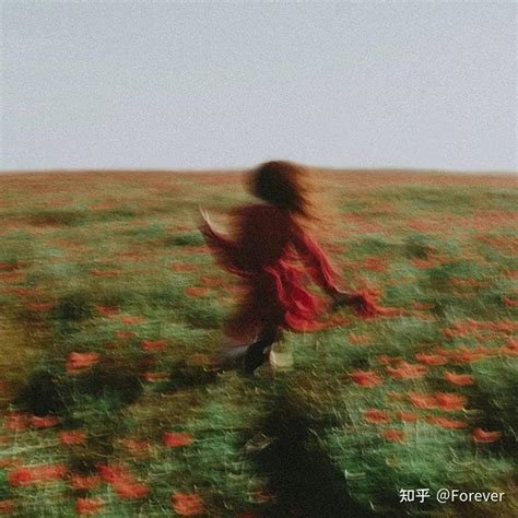 如果没人喜欢，那就我一个人去爱吧 知乎