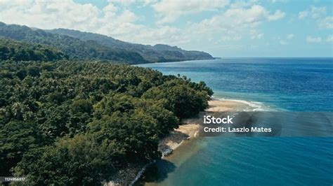 모래 해변 해안 및 아름 다운 바다 바다 바다와 무성 한 열 대 우림 정글 원격 남태평양 섬의 공중 무인 비행기 이미지 0명에 대한 스톡 사진 및 기타 이미지 Istock