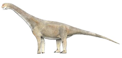 Tehuelchesaurus Maker Scratchpad Youtube Wiki Fandom