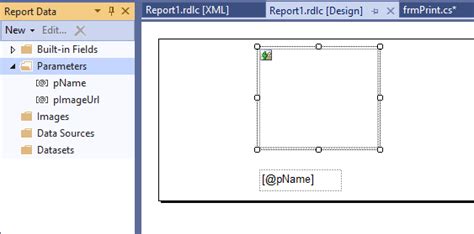 Can Possible Dynamically Add Picturebox Image Into Rdlc Report C