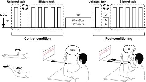 General Setup And Design Of The Two Experiments In Both Experiments