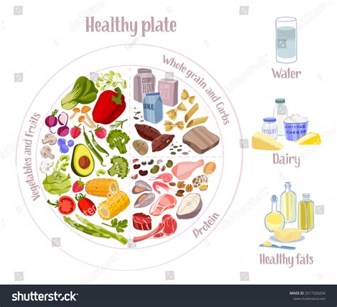 Rational Diet Infographics Healthy Eating Plate Stock Vector Royalty
