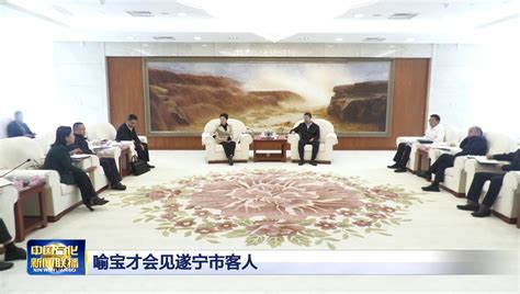 喻宝才会见岳阳市市长李挚 中国石化网络视频
