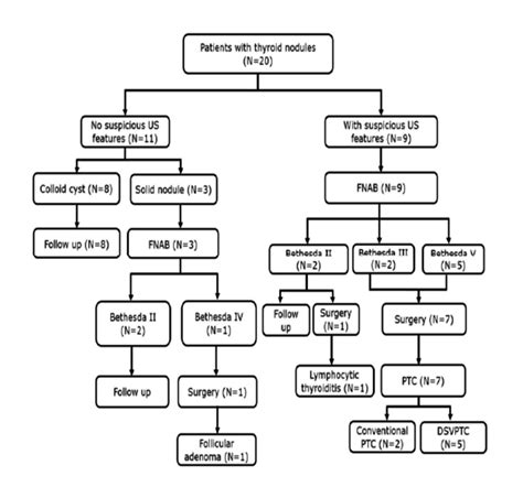 Thyroid Flow Chart Ponasa