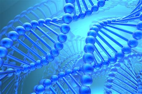 单细胞测序数据个性化分析方法有哪些 百迈客生物