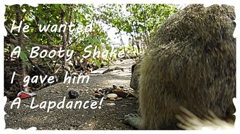 Go4 Fun Adventure9 Gopher Girl Shakes Her Booty Youtube