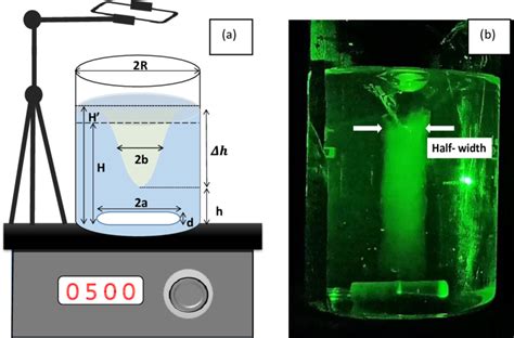 A Schematic Representation Of Experimental Setup B Vortex Download Scientific Diagram