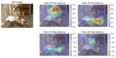 Kitware Receives Honorable Mention For Explainable AI Toolkit