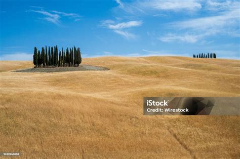 이탈리아 시에나 근처의 쟁기질 된 언덕 꼭대기에 사이프러스 나무가있는 아름다운 토스카나 풍경 0명에 대한 스톡 사진 및 기타 이미지 Istock