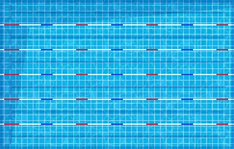 수영장 평면도 스포츠 경쟁 수영 깊은 목욕 레인 평면도 훈련 공공 피트니스 분지 물 질감 운동을 할 수 있는 실내 실외 공간 벡터 일러스트 레이 션 Bottom The