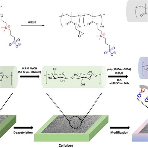 Schematic Illustration Of The Functionalization Of Cellulose Nanofibers