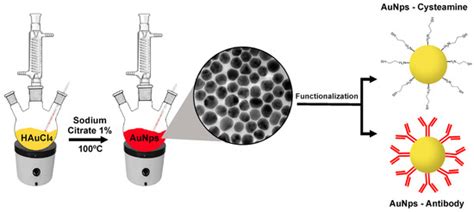 Localized Surface Plasmon Resonance Based Nanosensor For Rapid Detection Of Glyphosate In Food