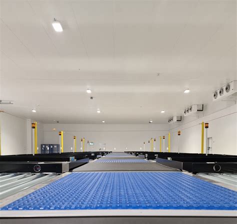 7 Types Of Sortation Conveyor Systems Hills Electrical Group