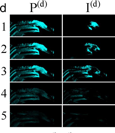 Figure 6 From Semantic Segmentation On 3D Point Clouds With High