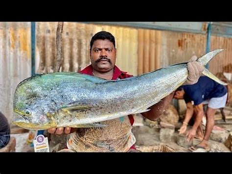 Mahi Mahi Fish In Telugu