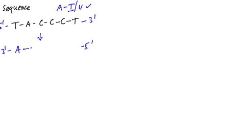 Solvedrefer To Problem 2565 What Sequence Appears On The Mrna