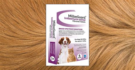 Ceva Launches Heartworm Preventive Milbeguard Todays Veterinary Business
