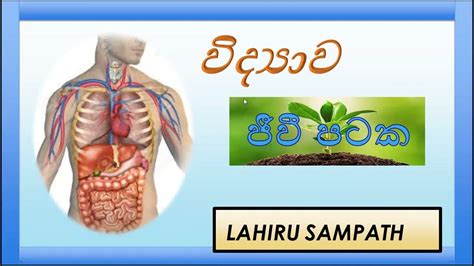 ජීවි පටක Part 1 Youtube