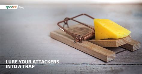 Honeypots As A Method Of Malware Detection Apriorit