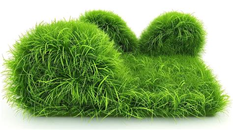 Realistic Grass Render Images Free Download On Freepik