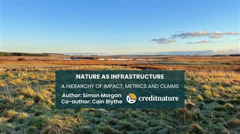 Nature As Infrastructure A Hierarchy Of Impact Metrics And Claims