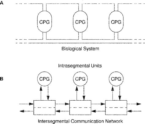 Figure 1 From An Asynchronous Architecture For Modeling Intersegmental Neural Communication
