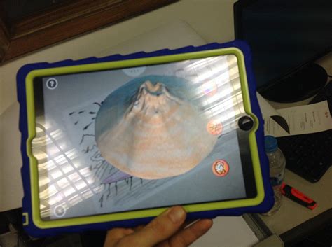 Augmented Reality In The Classroom Technology For Learners