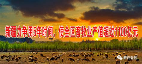 新疆力争用5年时间，使全区畜牧业产值超过1100亿元发展