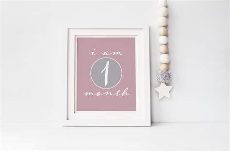 Creative Monthly Baby Picture Ideas Deonna Wade