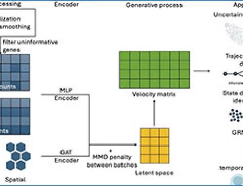 Deepbio Automated And Interpretable Deep Learning Platform For High