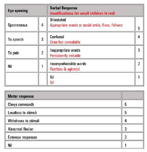 Glasgow Coma Scale Chart Pdf Images And Photos Finder Porn Sex Picture