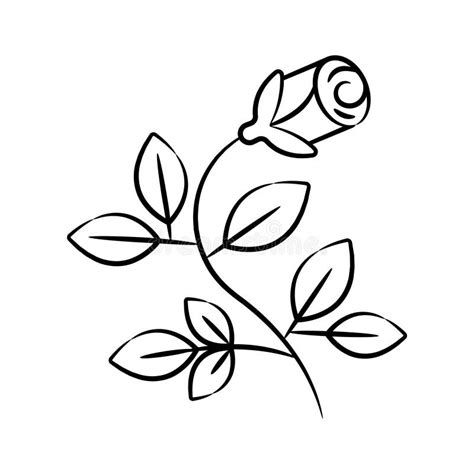 Grab This Amazingly Designed Doodle Icon Of Rose Stem Stock
