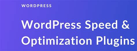 Wordpress Performance Optimization Key Strategies And Future Trends Codemaster