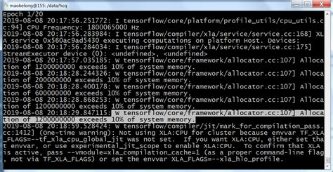 W Tensorflowcoreframeworkallocatorcc107 Allocation Of 1200000000 Exceeds 10 Of System