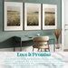 Wildflower Prints 3 Piece Wall Art Wildflower Wall Art Print Landscape