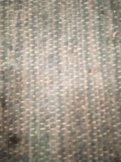 Xxx Fantasy Image 4217793 Thisvid Tube