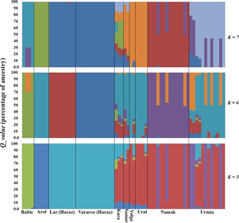 Admixture Clusters For The Numbers K Of Multilocus Genotypic Clusters Download Scientific