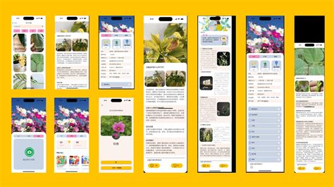 花卉科普类app Ui设计 Kkongjingc 站酷zcool