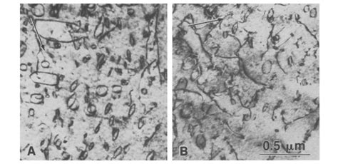 Type Dislocation In An Annealed Zirconium Microstructure At 700 K A Download Scientific