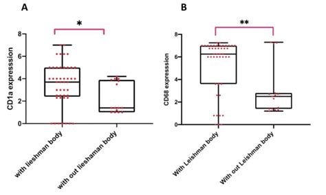 Cd1a And Cd68 Staining In Skin Tissue Samples Quantified A Increased