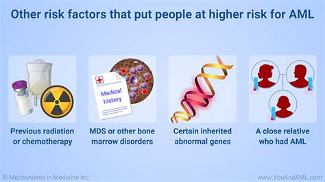 Slide Show Understanding AML