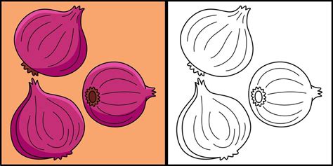 양파 야채 색칠 페이지 컬러 일러스트 프리미엄 벡터