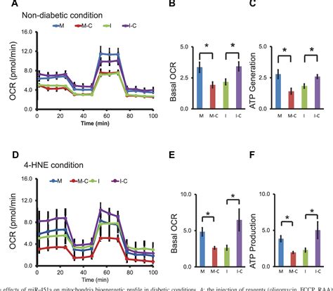Figure 4 From Mirna 451a Regulates Rpe Function Through Promoting Mitochondrial Function In